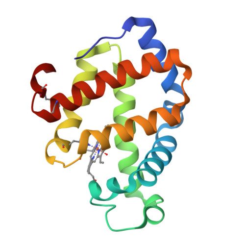 RCSB PDB - 3A5A: Crystal structure of a hemoglobin component V from ...