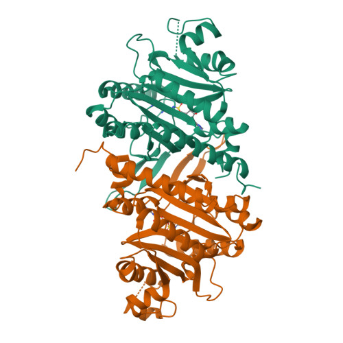 RCSB PDB - 3A5Y: Crystal structure of GenX from Escherichia coli in ...