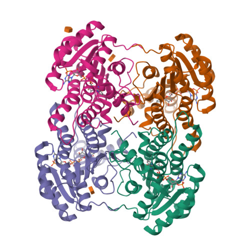 RCSB PDB - 3AI3: The crystal structure of L-Sorbose reductase from ...