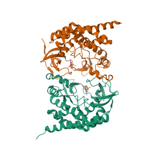 RCSB PDB - 3AKK: Crystal structure of A Helicobacter pylori ...