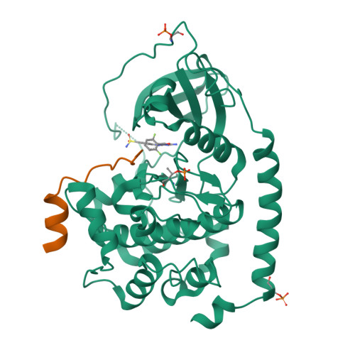 RCSB PDB - 3AMA: Protein kinase A sixfold mutant model of Aurora B with ...