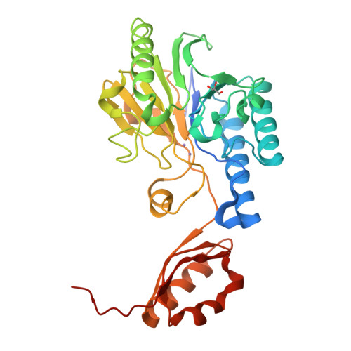 RCSB PDB - 3AUZ: Crystal structure of Mre11 with manganese