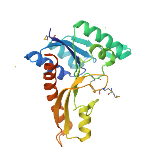 RCSB PDB - 3AV3: Crystal structure of glycinamide ribonucleotide ...