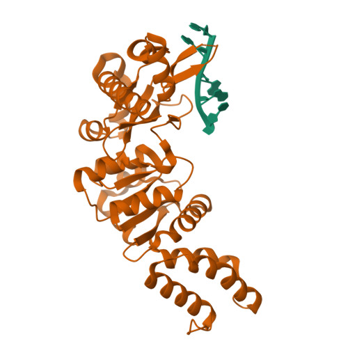 RCSB PDB - 3B39: Structure of the DnaG primase catalytic domain bound ...