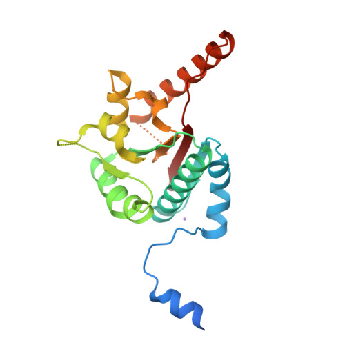 RCSB PDB - 3B6E: Crystal structure of human DECH-box RNA Helicase MDA5 ...