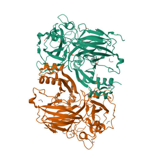 RCSB PDB - 3B9T: Crystal structure of predicted acetamidase/formamidase ...