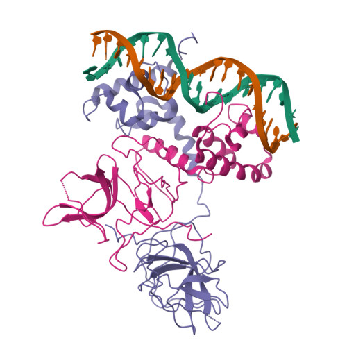 RCSB PDB - 3BDN: Crystal Structure of the Lambda Repressor