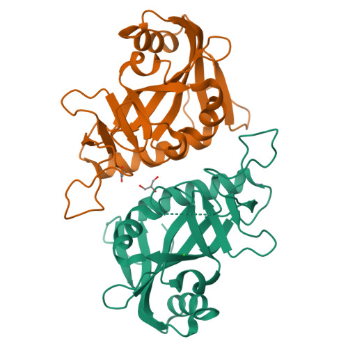 RCSB PDB - 3BLJ: Crystal structure of human poly(ADP-ribose) polymerase ...