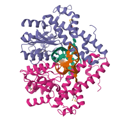 RCSB PDB - 3BM3: Restriction endonuclease PspGI-substrate DNA complex