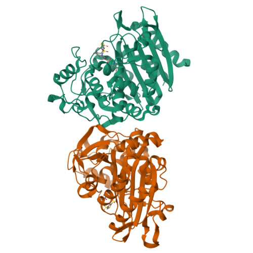 RCSB PDB - 3BM6: AmpC beta-lactamase in complex with a p ...