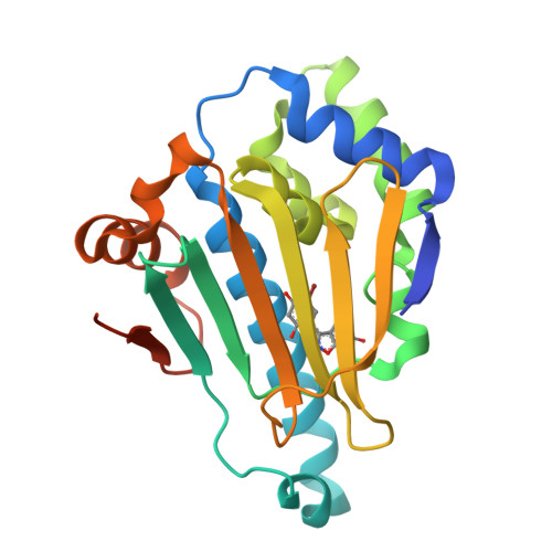 RCSB PDB - 3BM9: Discovery of Benzisoxazoles as Potent Inhibitors of ...