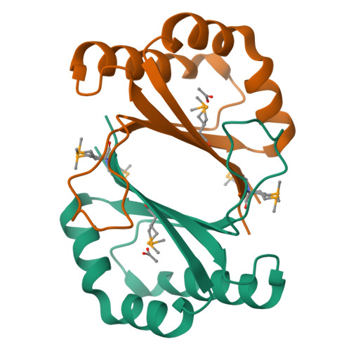 RCSB PDB - 3BN7: CRYSTAL STRUCTURE OF A DIMERIC FERREDOXIN-LIKE PROTEIN ...
