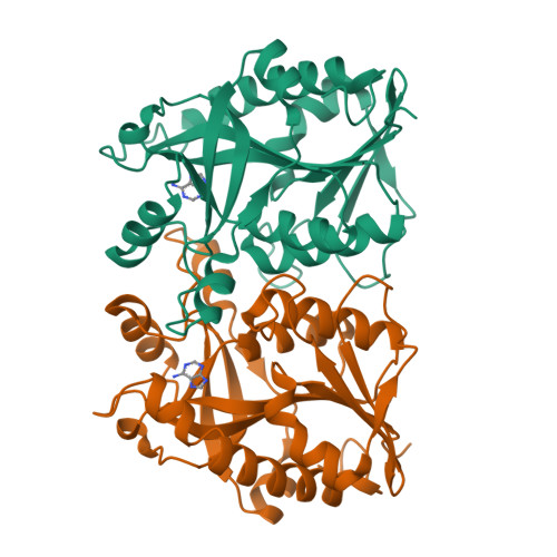 RCSB PDB - 3BSF: Crystal Structure of the MTA/SAH nucleosidase