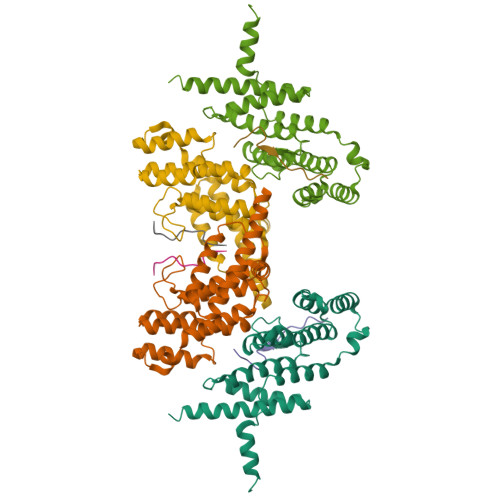 RCSB PDB - 3BU8: Crystal Structure of TRF2 TRFH domain and TIN2 peptide ...