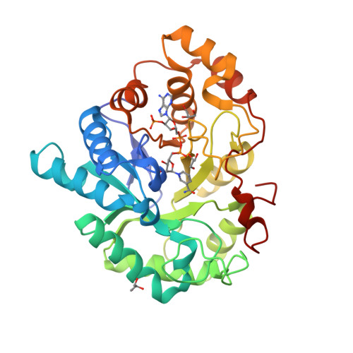 RCSB PDB - 3BV7: Crystal structure of Delta(4)-3-ketosteroid 5-beta ...