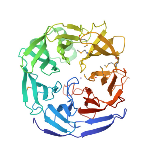 RCSB PDB - 3C5M: Crystal structure of oligogalacturonate lyase (VPA0088 ...