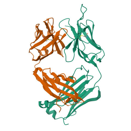 RCSB PDB - 3C5S: Crystal Structure of monoclonal Fab F22-4 specific for ...