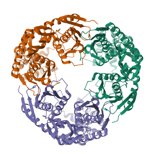 RCSB PDB - 3CDI: Crystal structure of E. coli PNPase