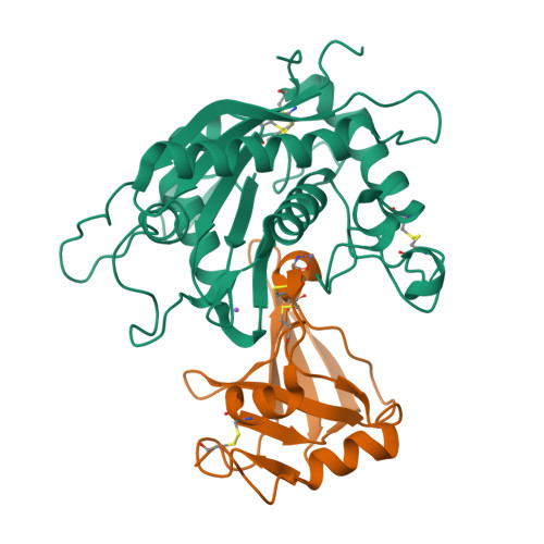 RCSB PDB - 3CKI: Crystal structure of the TACE-N-TIMP-3 complex