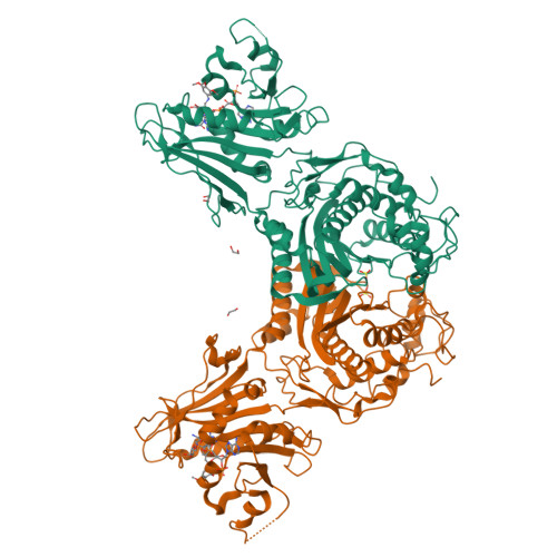 RCSB PDB - 3CLB: Structure of bifunctional TcDHFR-TS in complex with TMQ