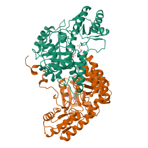 RCSB PDB - 3CQ5: Histidinol-phosphate aminotransferase from ...