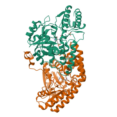 RCSB PDB - 3CQ6: Histidinol-phosphate aminotransferase from ...