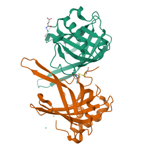 RCSB PDB - 3CQR: Crystal Structure of the Lipocalin domain of ...