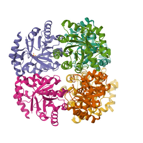 RCSB PDB - 3CT7: Crystal structure of D-allulose 6-phosphate 3 ...