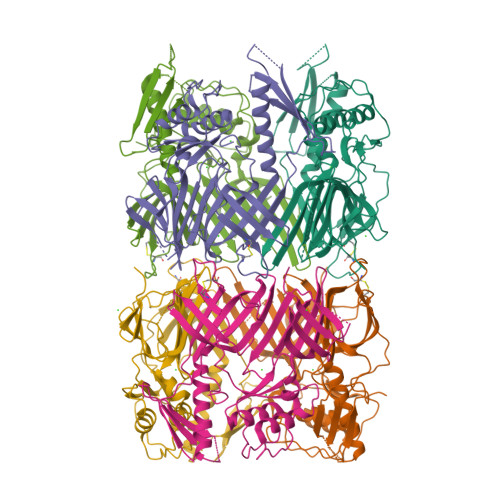 RCSB PDB - 3D37: The crystal structure of the tail protein from ...