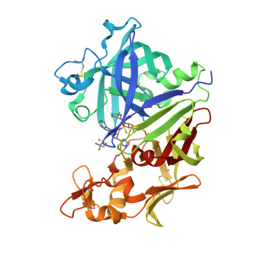 RCSB PDB - 3D91: Human renin in complex with remikiren