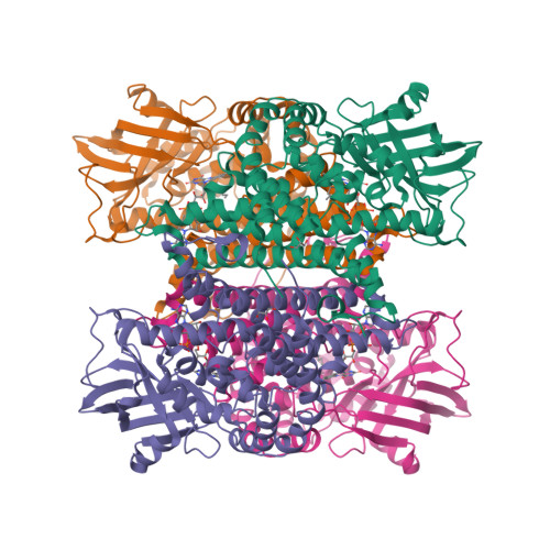RCSB PDB - 3D9F: Nitroalkane oxidase: active site mutant S276A ...