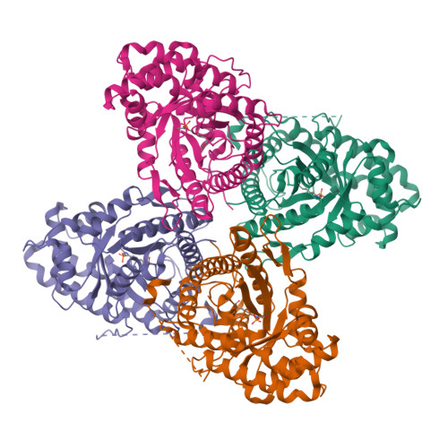 RCSB PDB - 3DFO: Dihydroxyacetone phosphate Schiff base and enamine ...