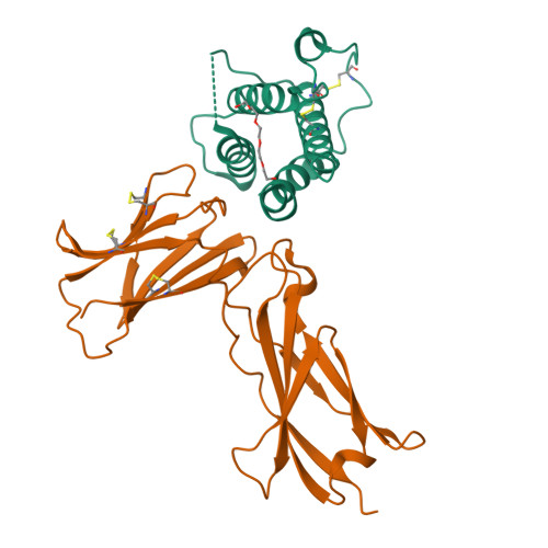RCSB PDB - 3DI2: Crystal structure of the complex of human interleukin ...
