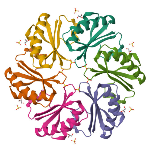 RCSB PDB - 3DNC: Carboxysome shell protein, CcmK2 C-terminal deletion ...