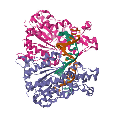 RCSB PDB - 3DPG: SgrAI with noncognate DNA bound