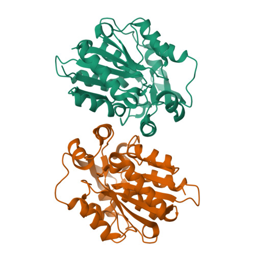 RCSB PDB - 3DQZ: Structure of the hydroxynitrile lyase from Arabidopsis ...