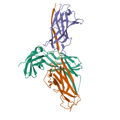 RCSB PDB - 3DSN: Crystal structure of the complex of the Caf1M ...