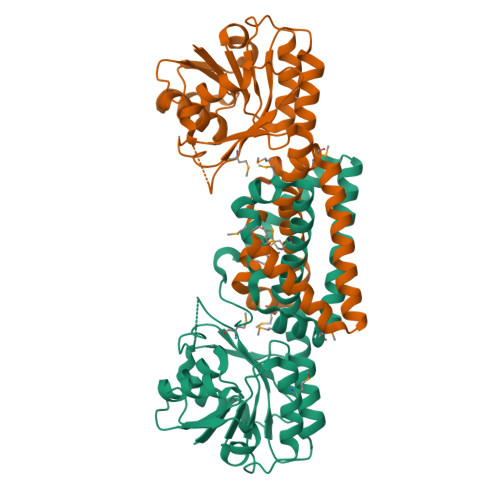 RCSB PDB - 3DZB: Crystal structure of Prephenate dehydrogenase from ...