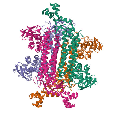 RCSB PDB - 3E04: Crystal structure of human fumarate hydratase
