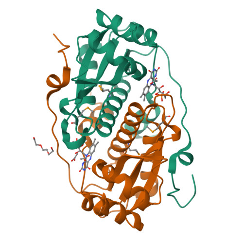 RCSB PDB - 3E39: Crystal structure of a putative nitroreductase in ...