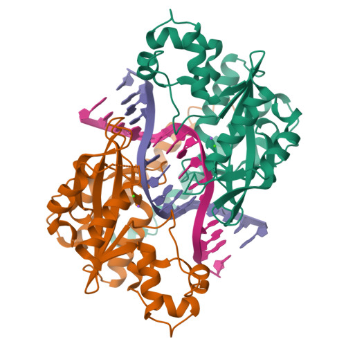 RCSB PDB - 3E42: Q138F HincII bound to GTCGAC and Ca2+ (cocrystallized)