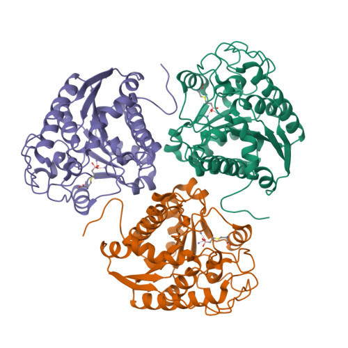 RCSB PDB - 3E9B: X-ray structure of rat arginase I-T135A mutant: the ...