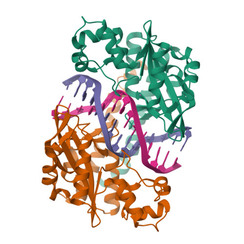 RCSB PDB - 3EBC: Structure of N141A HincII with Cognate DNA