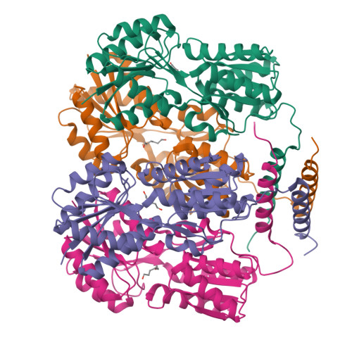 RCSB PDB - 3EDC: Crystal Structure of a 1.6-hexanediol Bound Tetrameric ...