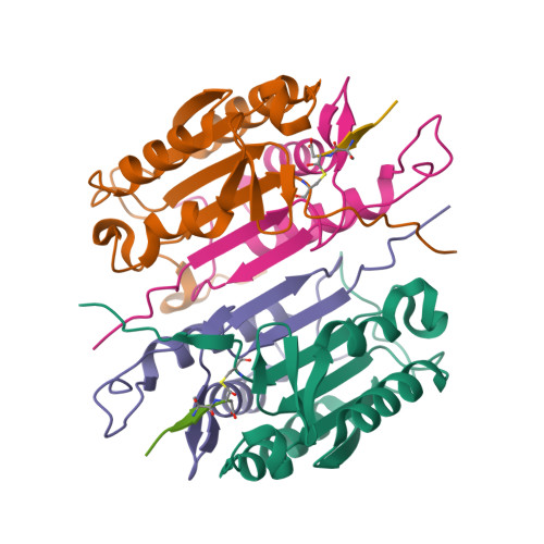 RCSB PDB - 3EDR: The crystal structure of caspase-7 in complex with ...