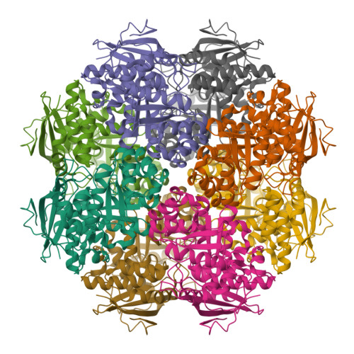 RCSB PDB - 3EEZ: Crystal structure of a putative mandelate racemase ...