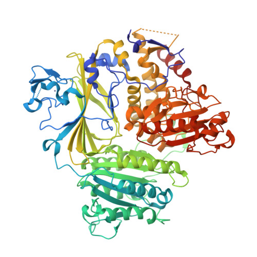 RCSB PDB - 3EH1: Crystal structure of the human COPII-coat protein Sec24b
