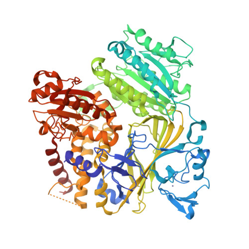 RCSB PDB - 3EH2: Crystal structure of the human COPII-coat protein Sec24c