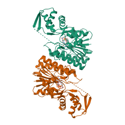 RCSB PDB - 3EHE: Crystal structure of UDP-glucose 4 epimerase (galE-1 ...