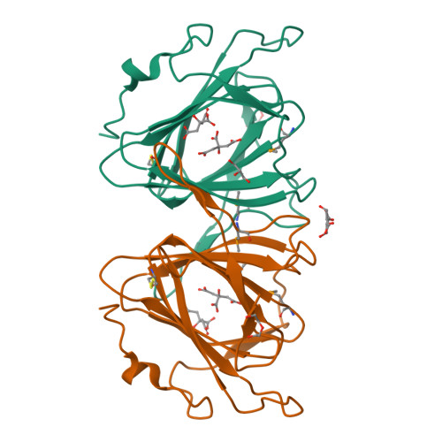 RCSB PDB - 3EJK: Crystal structure of dTDP Sugar Isomerase (YP_390184.1 ...